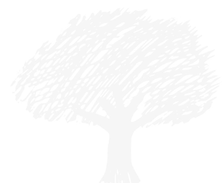 About - Timberline Tree and Shrub